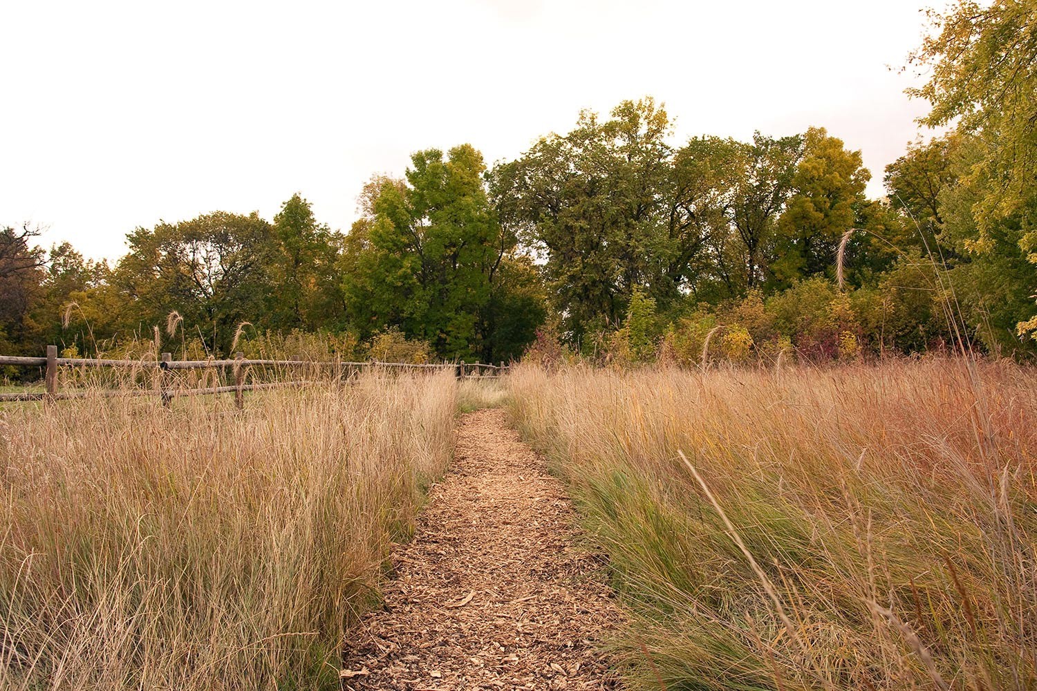 Winnipeg's Parks and Trails: A Guide to Fall Hiking and Biking - 300 ...
