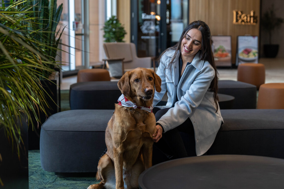 Your Downtown Winnipeg To-Do List - Living at 300 Main Downtown Winnipeg